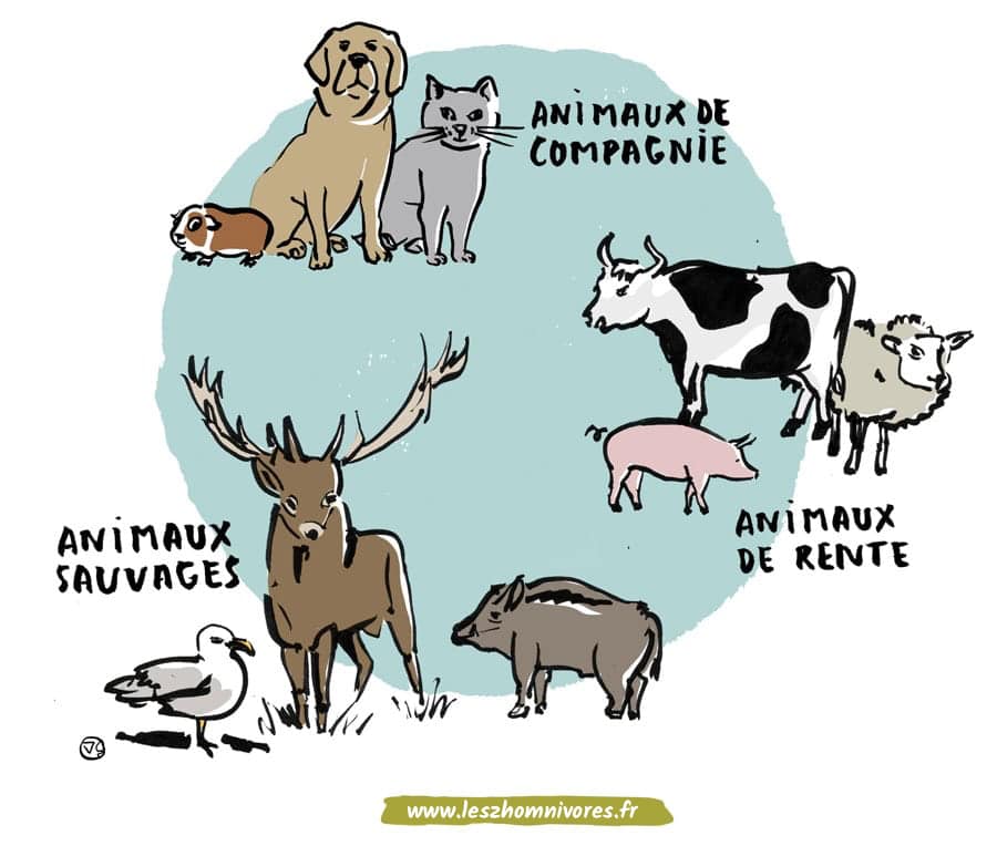 Avons-nous les mêmes relations avec tous les animaux ? - Les Z'Homnivores